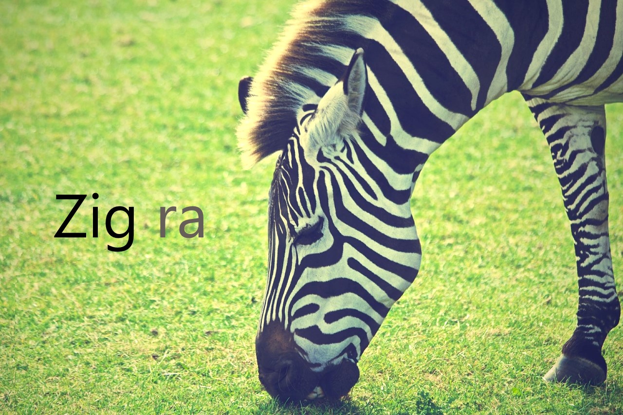Zigra